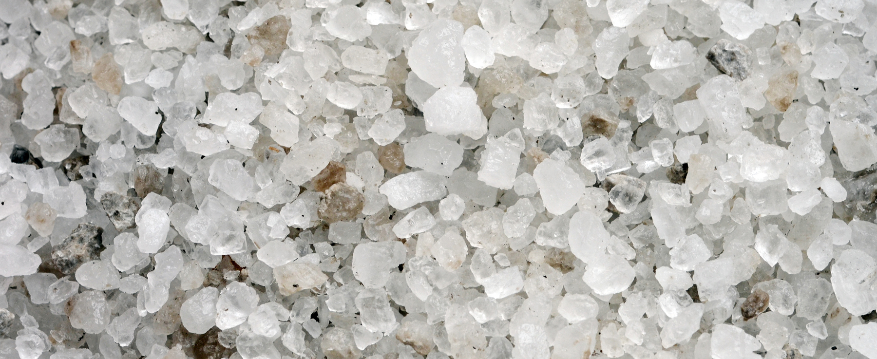 Salt Watch - Izaak Walton League of America