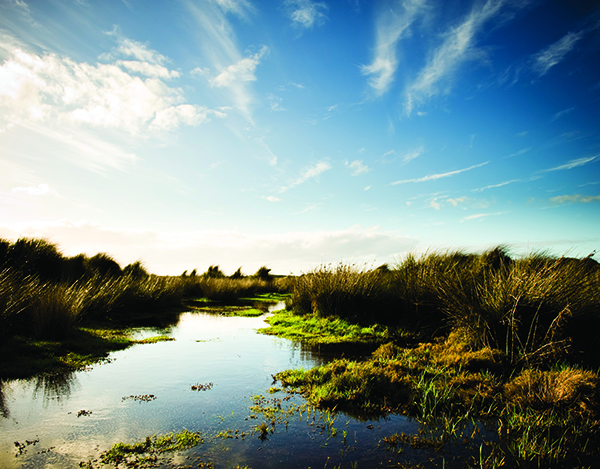 Save Our Streams - Izaak Walton League of America